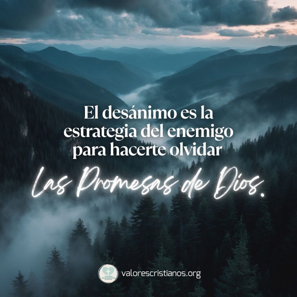Devocionales - Viviendo según los valores cristianos: consejos y ...